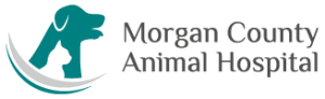 Morgan County Animal Hospital